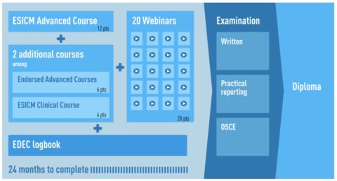 European Diploma in Advanced Critical Care Echocardiography (EDEC ...